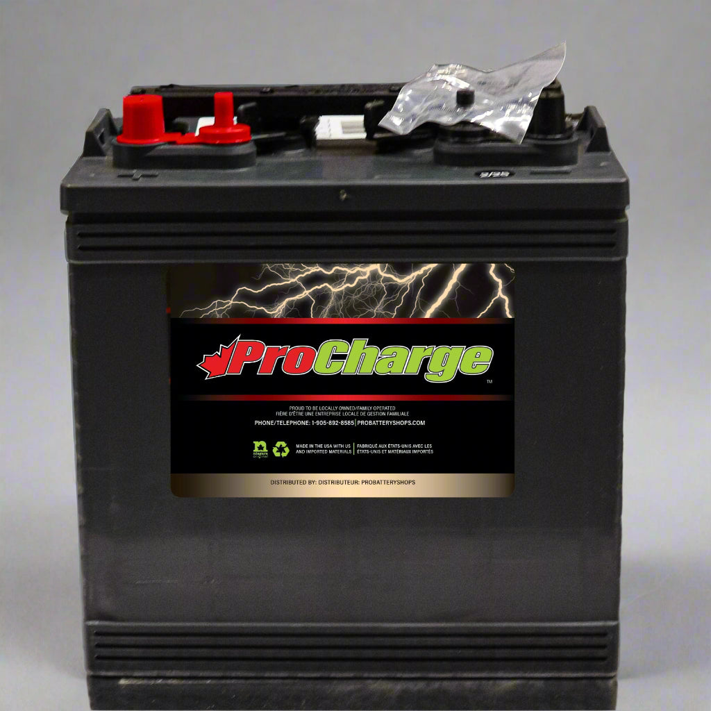 PC-GC8V : Pro Charge Gr GC8 Golf Cart Battery 8 Volt 165AH – Pro ...